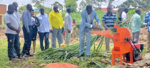 MAYUGE DISTRICT | LOCAL GOVERNMENT