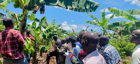 MAYUGE DISTRICT | LOCAL GOVERNMENT